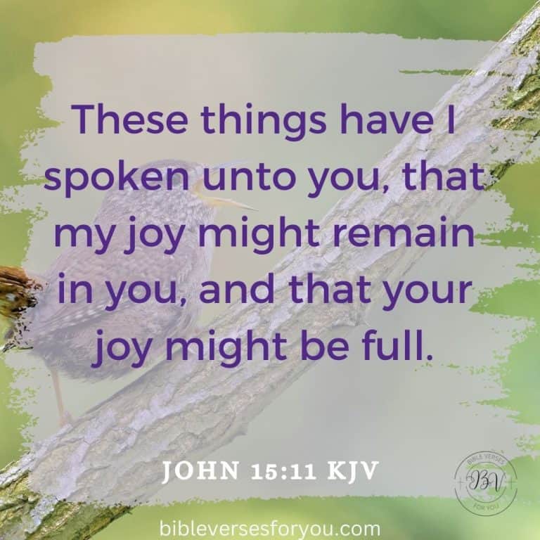 Smile Worthy Bible Verses about Joy - Bible Verses for You