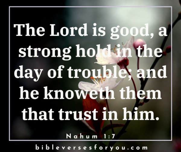 Trusting God in Difficult Times Bible Verses - Bible Verses for You